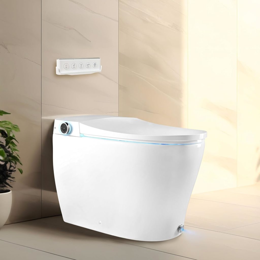 Bidet Toilet | Bidet Attachments | Visit C2S Blog